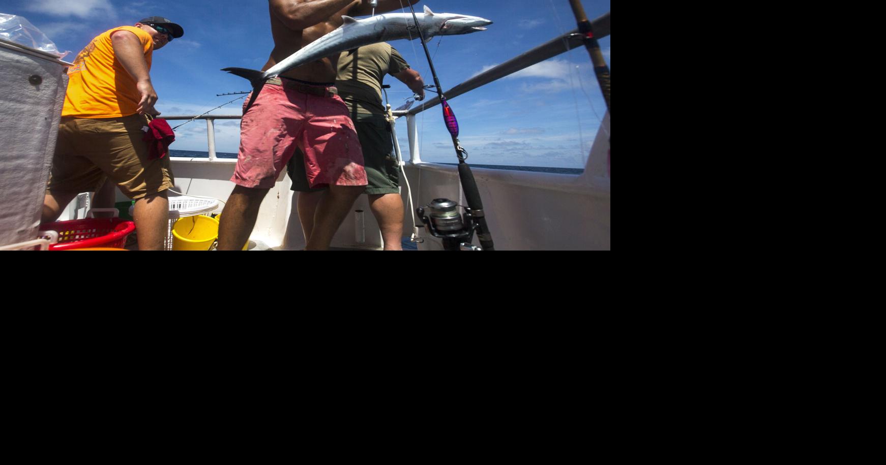 Looking for a fight? Here are some SC saltwater fish that will give all ...