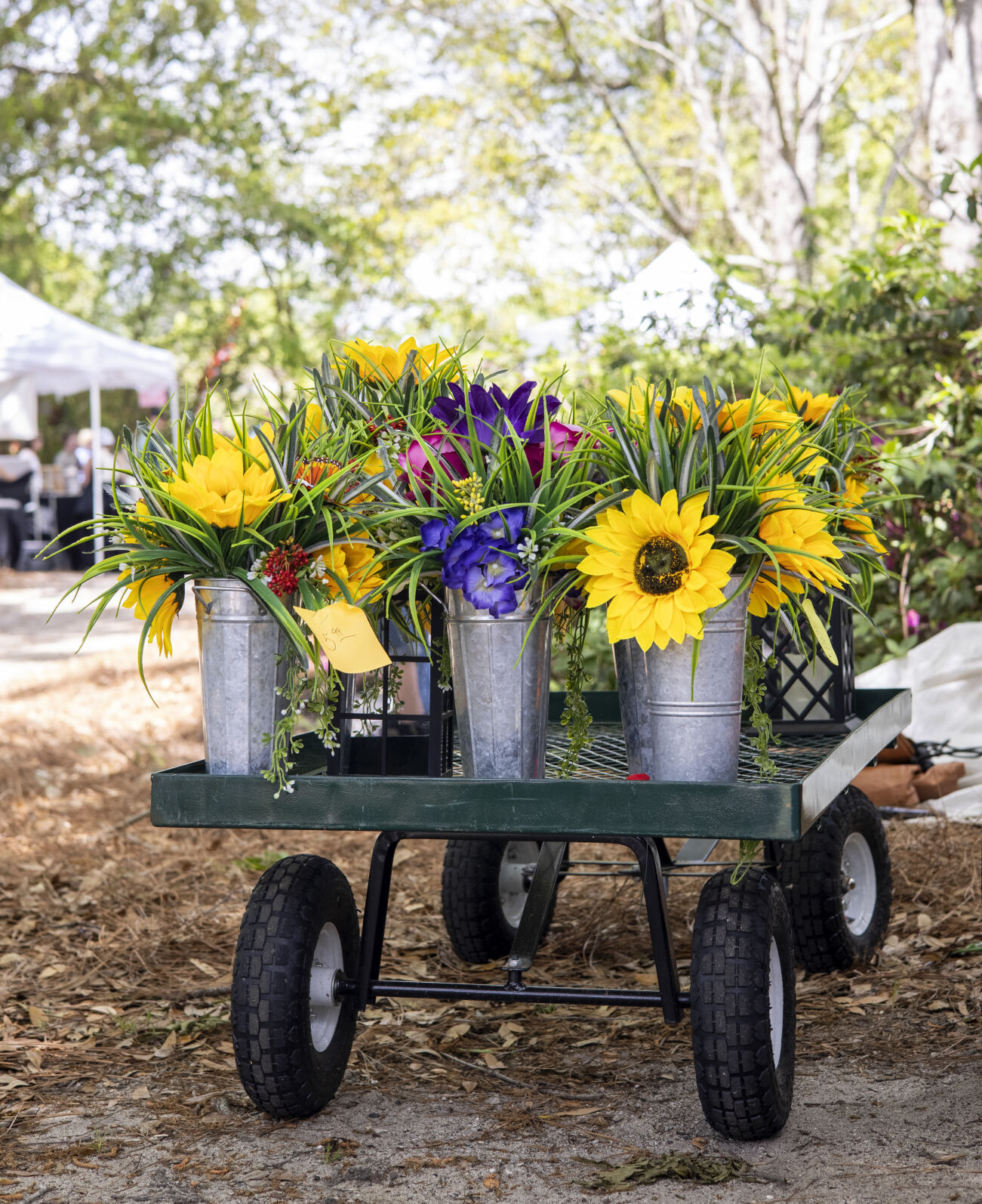 2 more days to attend Flowertown Festival in Summerville