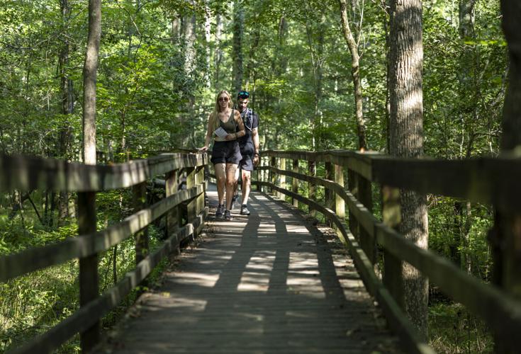 Congaree National Park delivers great light and vicious mosquitoes