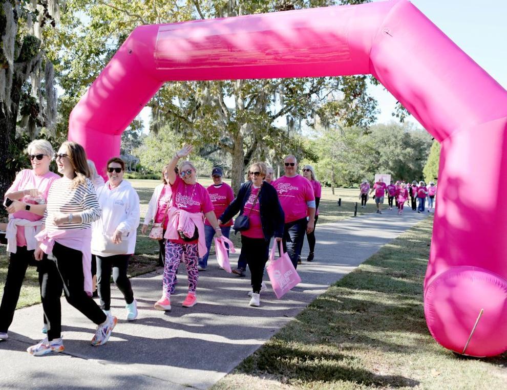 In the Pink breast cancer awareness walk celebrates 20 years