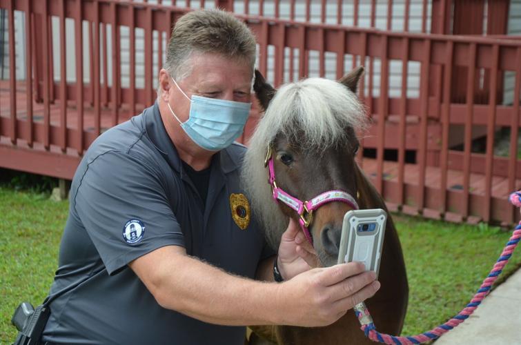 Local teen and her mini horse visit Aiken animal shelter to raise ...