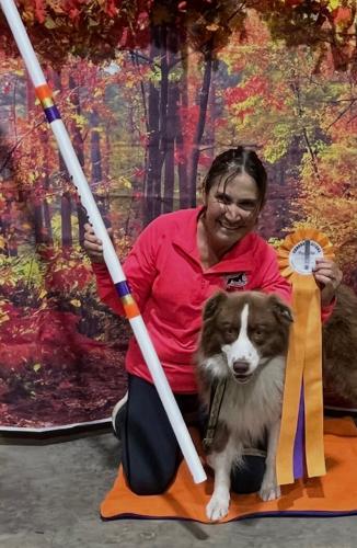 New Ellenton dog prepares for world-class agility challenge