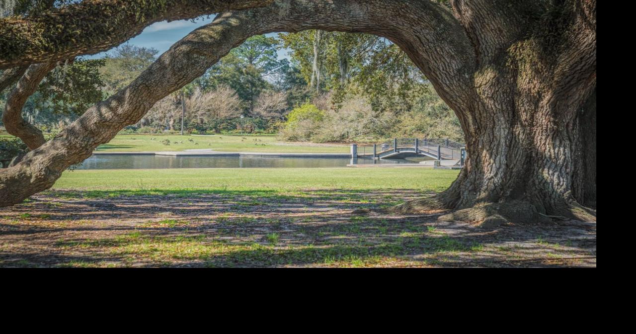Photo pick of the week: Arches | Features | postandcourier.com