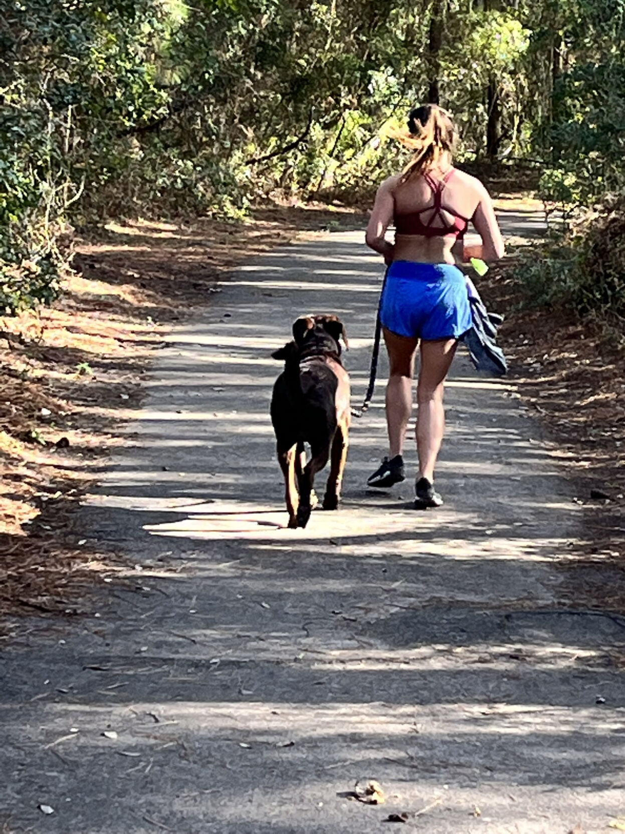 A Walk in the Park: Marsh View Trail