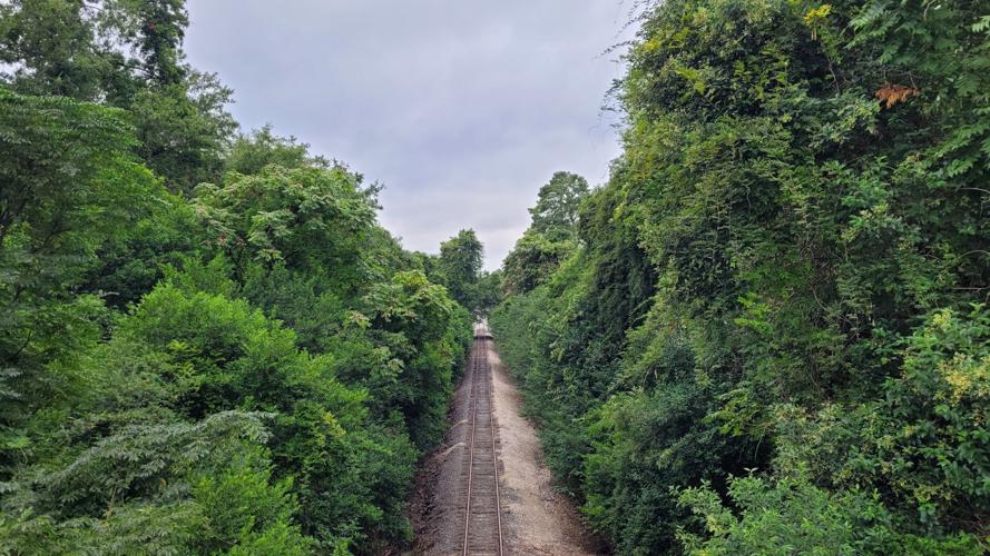 Discover Aiken: Aiken's history began as railroad town