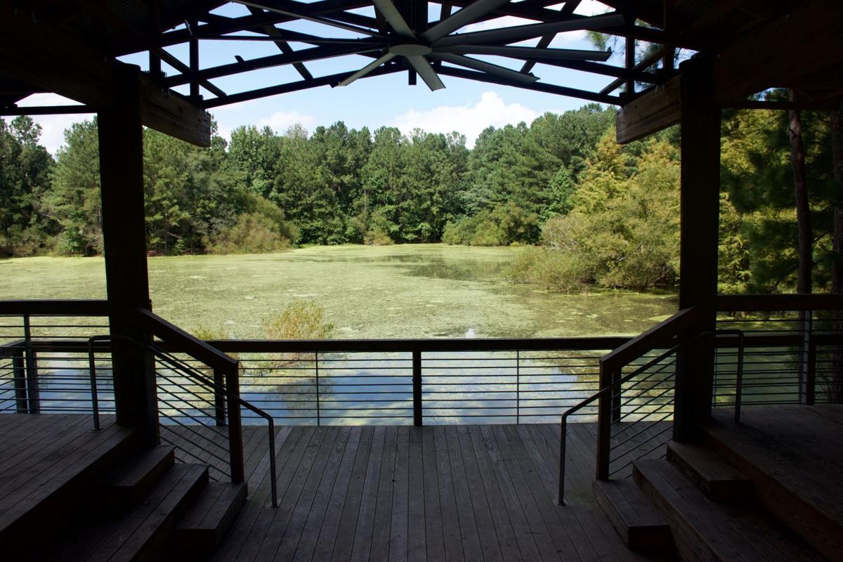 101 things to do in Aiken County this fall | Entertainment ...