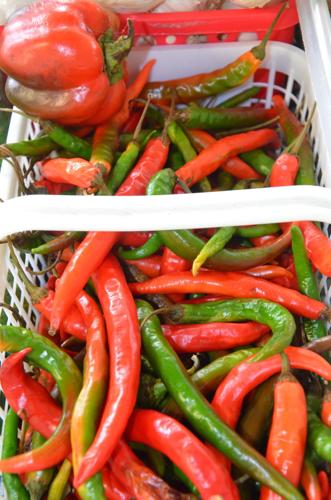 Ridge Spring-Monetta area known for agriculture