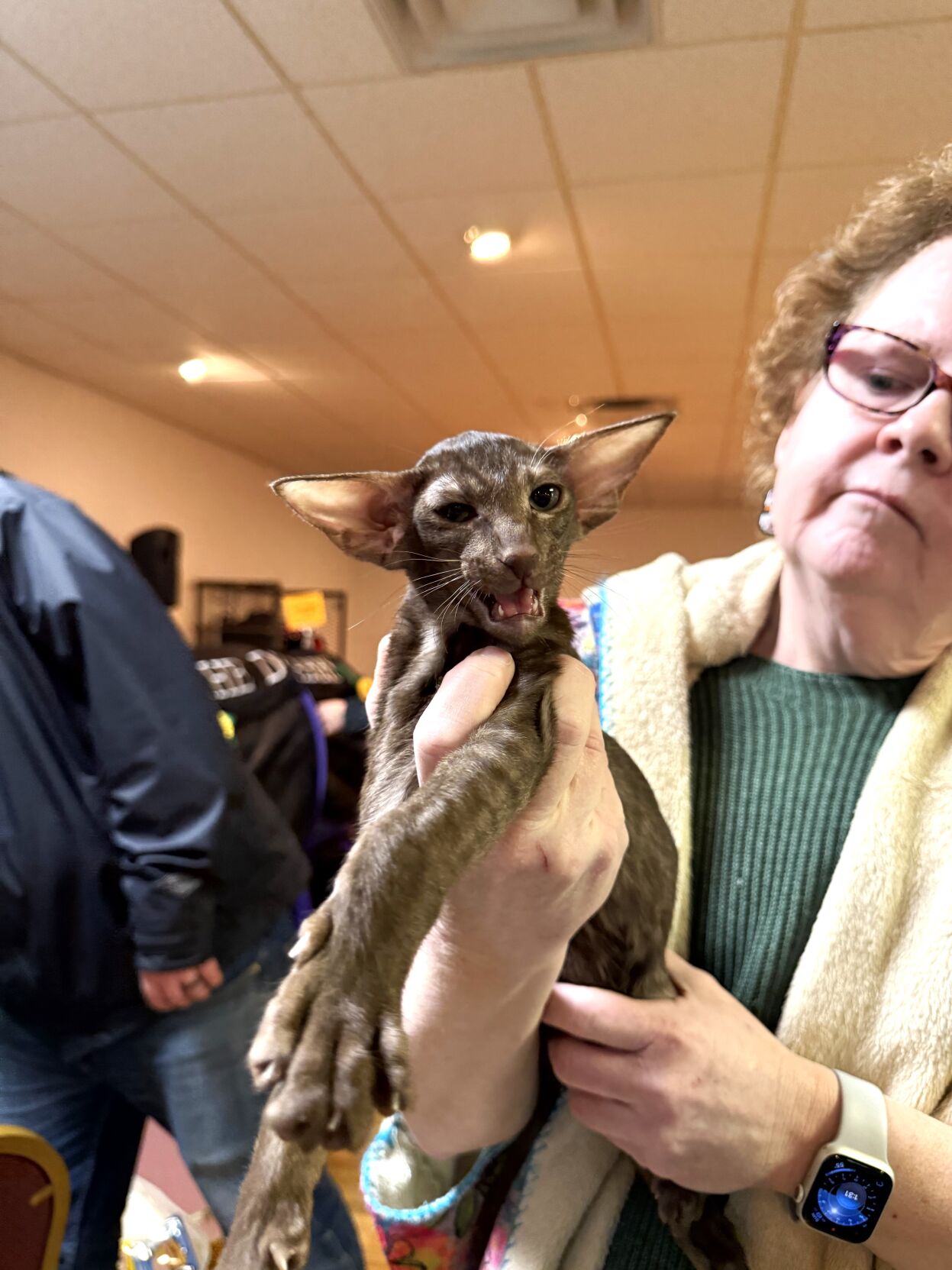 Cattyshack Cats hosts first cat show of the year