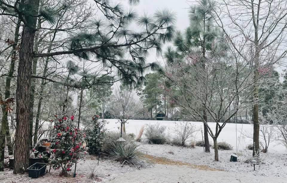 Brrrr! Aiken County forecast calling for snow, extreme cold