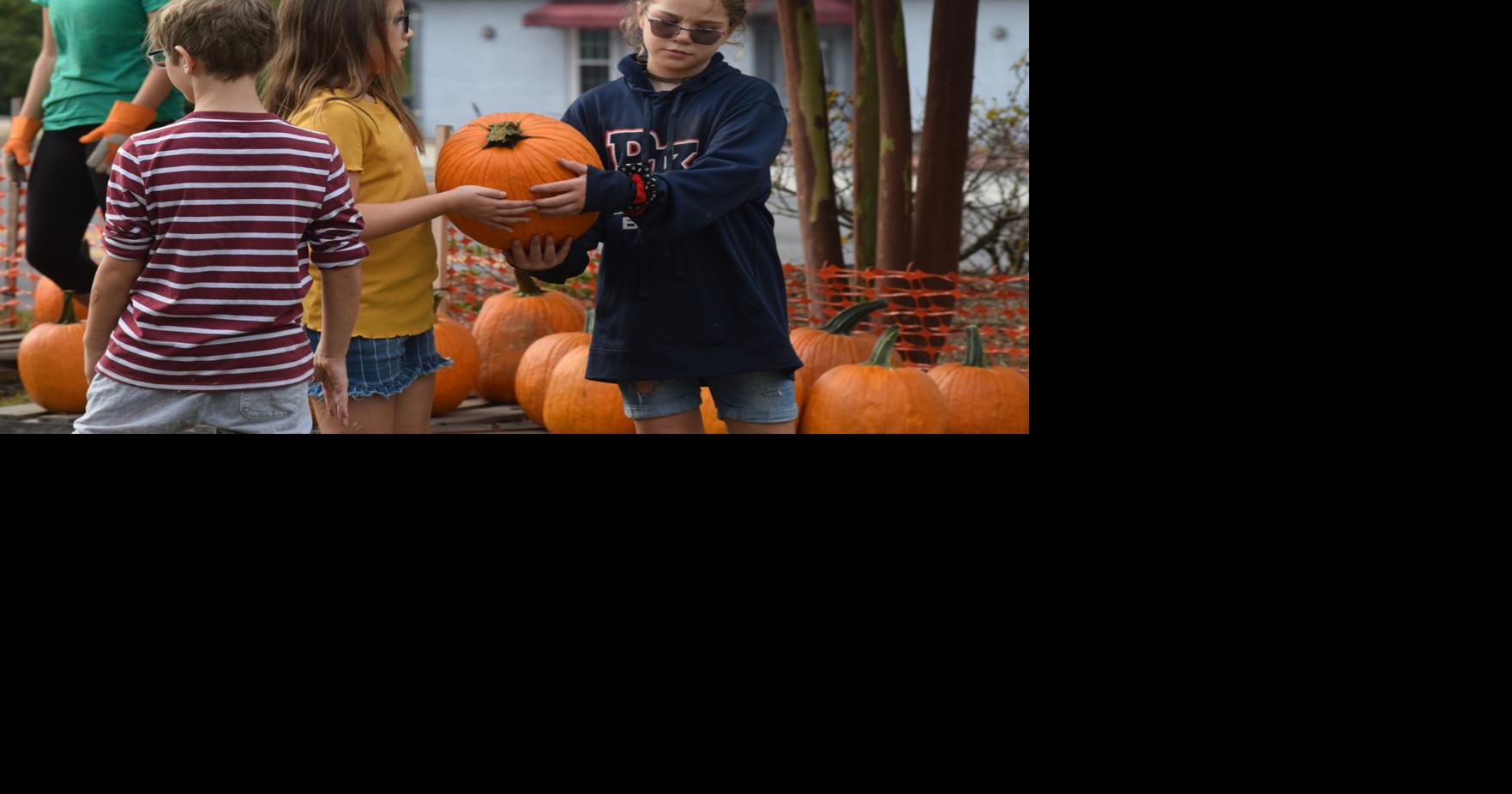 101 things to do in Aiken County this fall