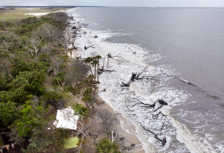MUSC works to solve mystery of bones found on Edisto Island