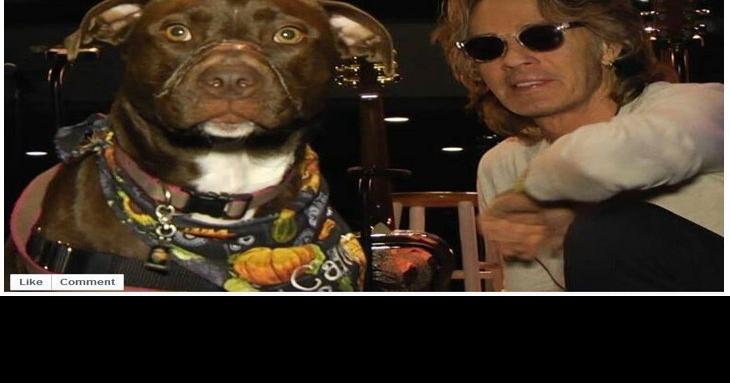 Caitlyn the dog visits Rick Springfield backstage at Charleston Music ...