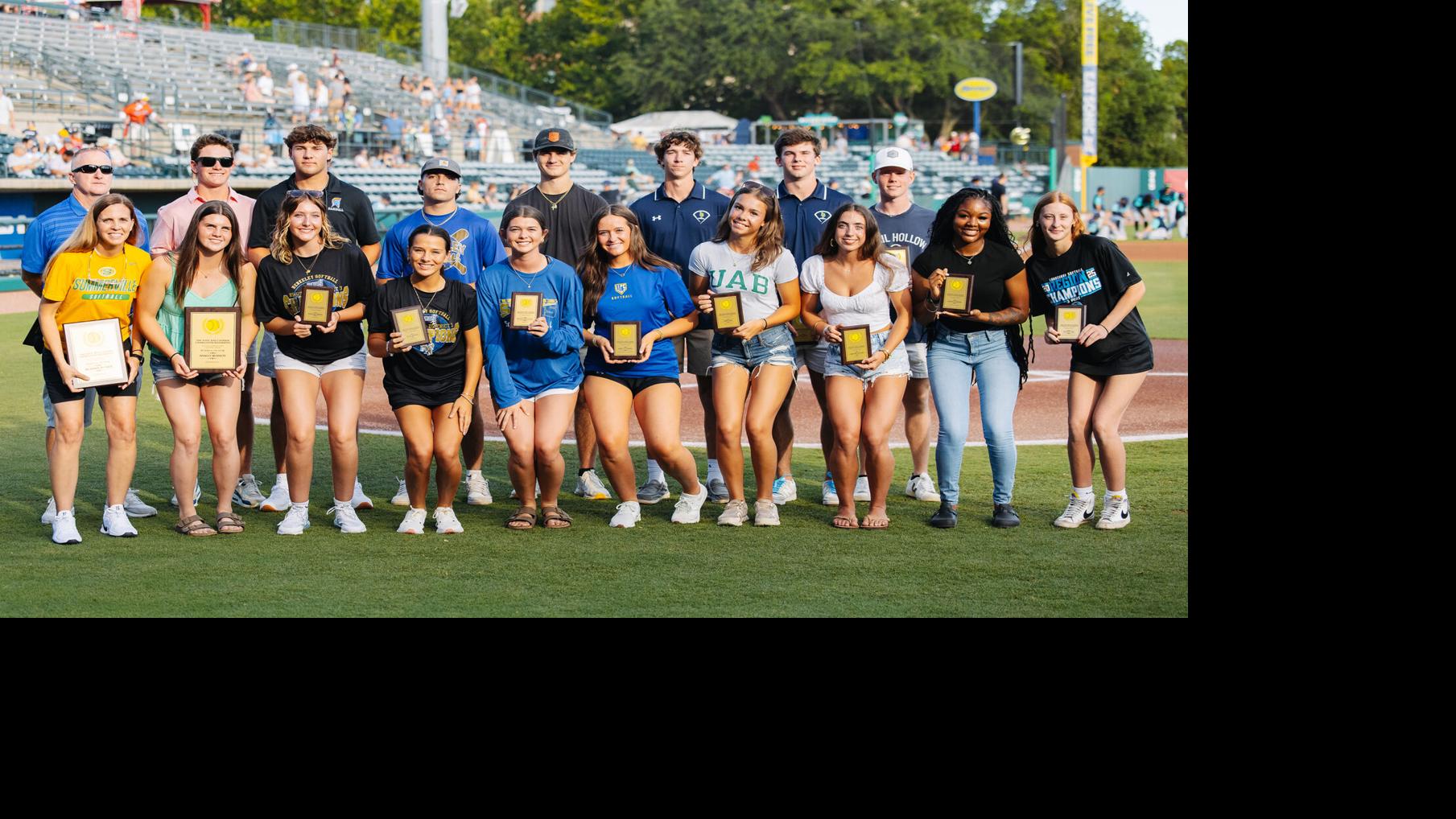 Charleston RiverDogs, Stingrays and Battery Minor League Sports