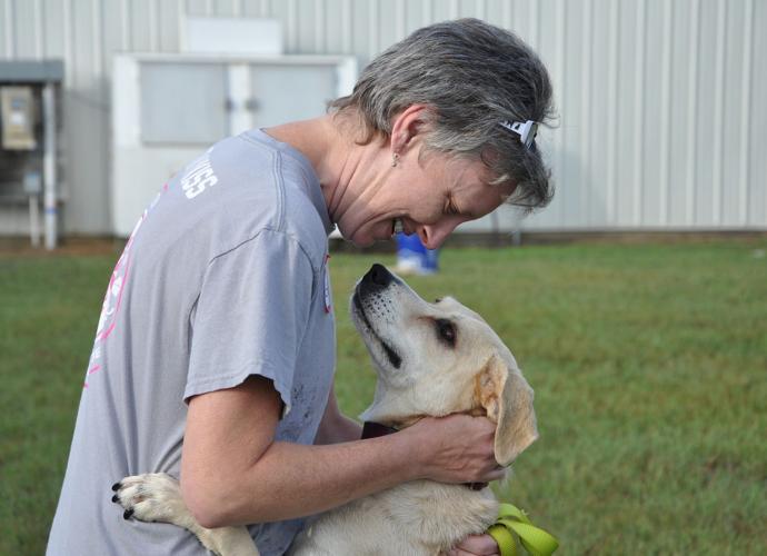 Shelter from the storm: Team Stinkykiss seeking homes for canine evacuees