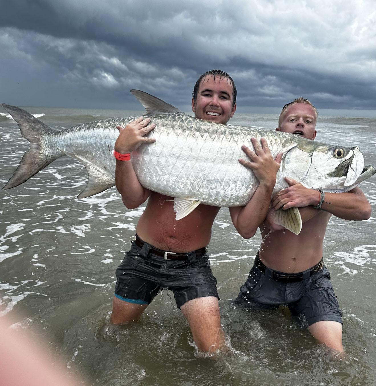 Rare 150-pound giant tarpon landed off Folly Beach SC pier | SC Climate ...