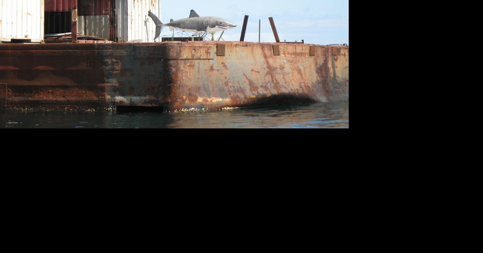 Edisto reef addition features eclectic mix of structures, including ...