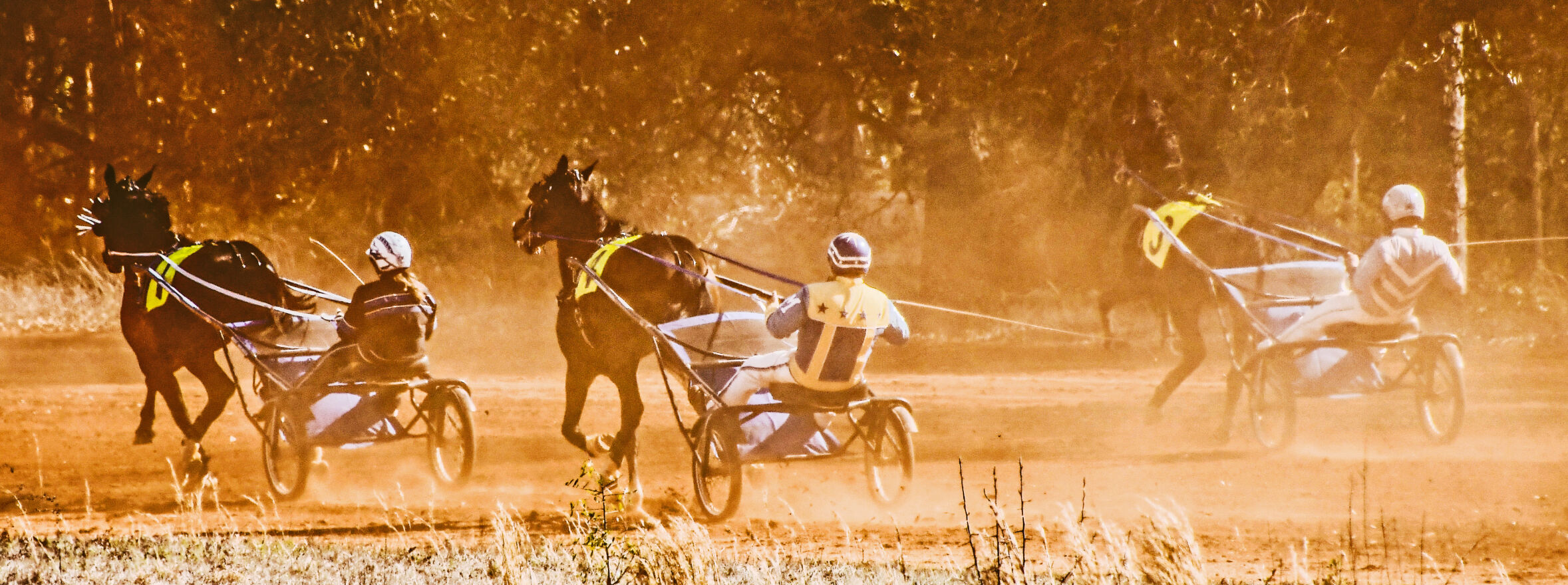 McGhees' Mile Harness Race set to return March 7 in Aiken