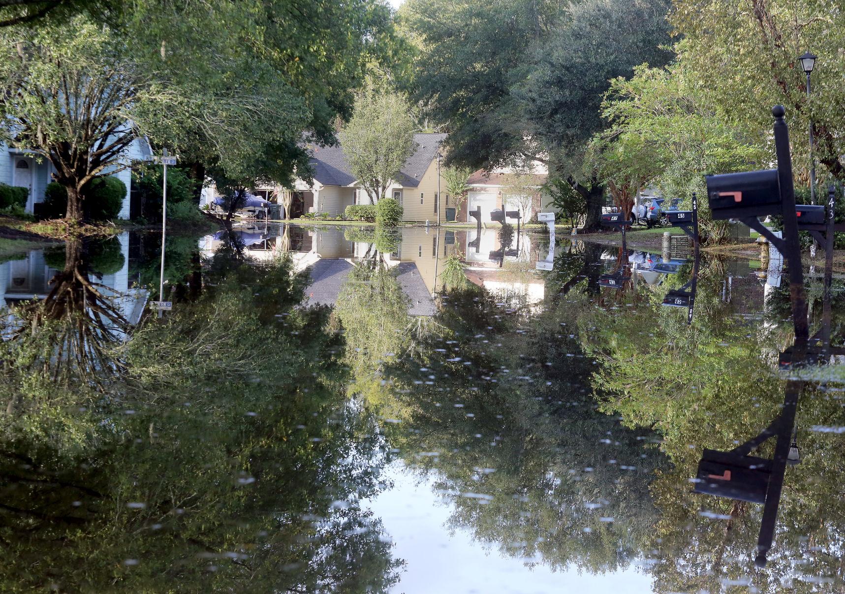 Charleston installing 'pocket wetlands' at Church Creek to stem ...