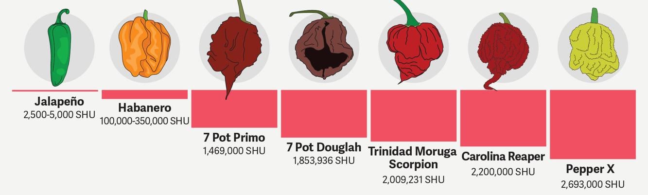 Meet Ed Currie, the South Carolina man who created Pepper X