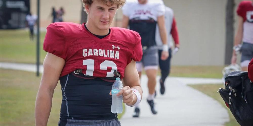 Gamecock safeties have plan to replace Emmanwori