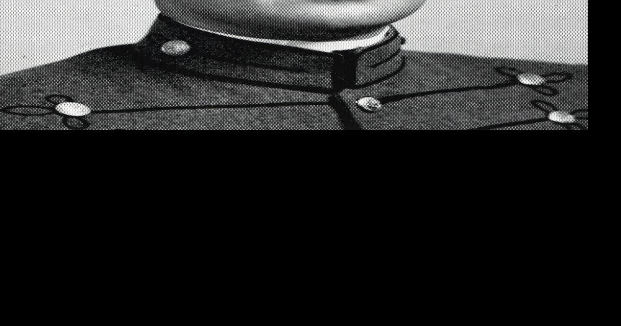 SC Citadel graduate awarded Medal of Honor posthumously