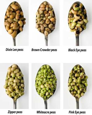 Peas, please | Food | postandcourier.com