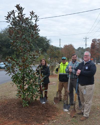 Aiken city leaders plant magnolia tree to observe Arbor Day