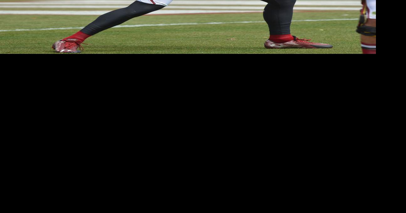 Will Muschamp has ‘a lot of confidence’ in Michael Scarnecchia as ...