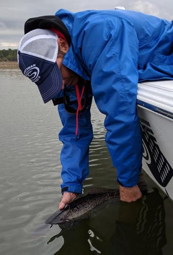 Release Over 20 program continuing to grow and impact fishing | Sports ...