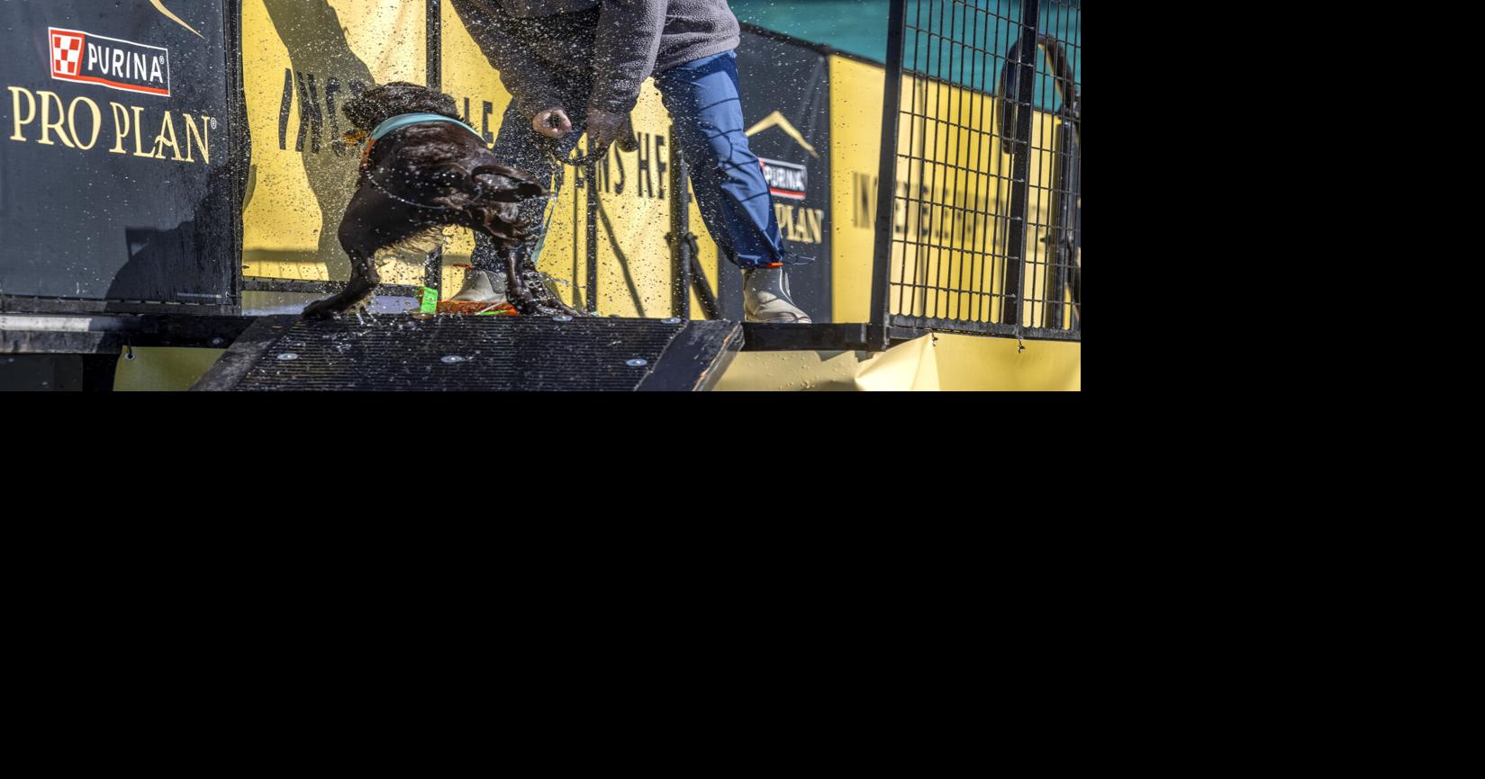 Photos: DockDogs makes a splash at SEWE