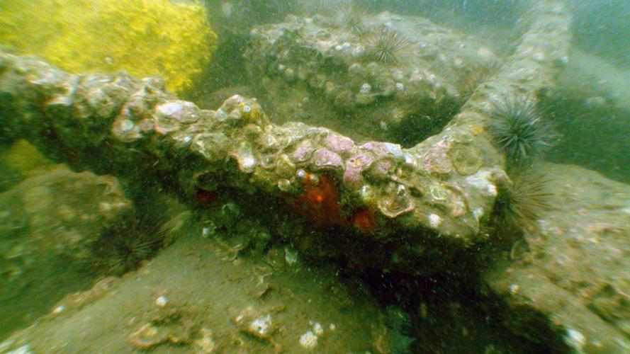 Shipwrecks near Isle of Palms run into beach renourishment
