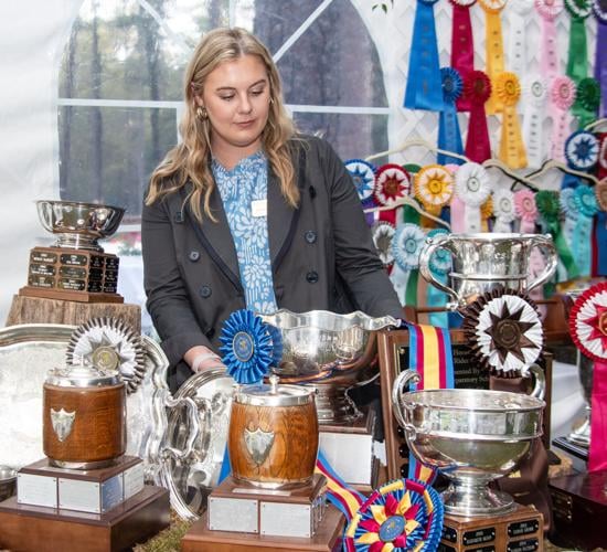 Anderson finds satisfaction in role as Aiken Horse Show co-director ...