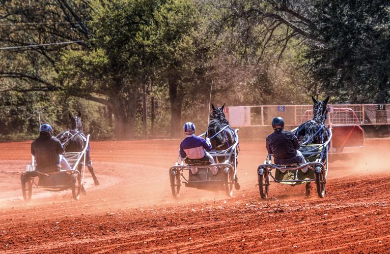 Weather forces McGhees' Mile Harness Races to be postponed until Sunday