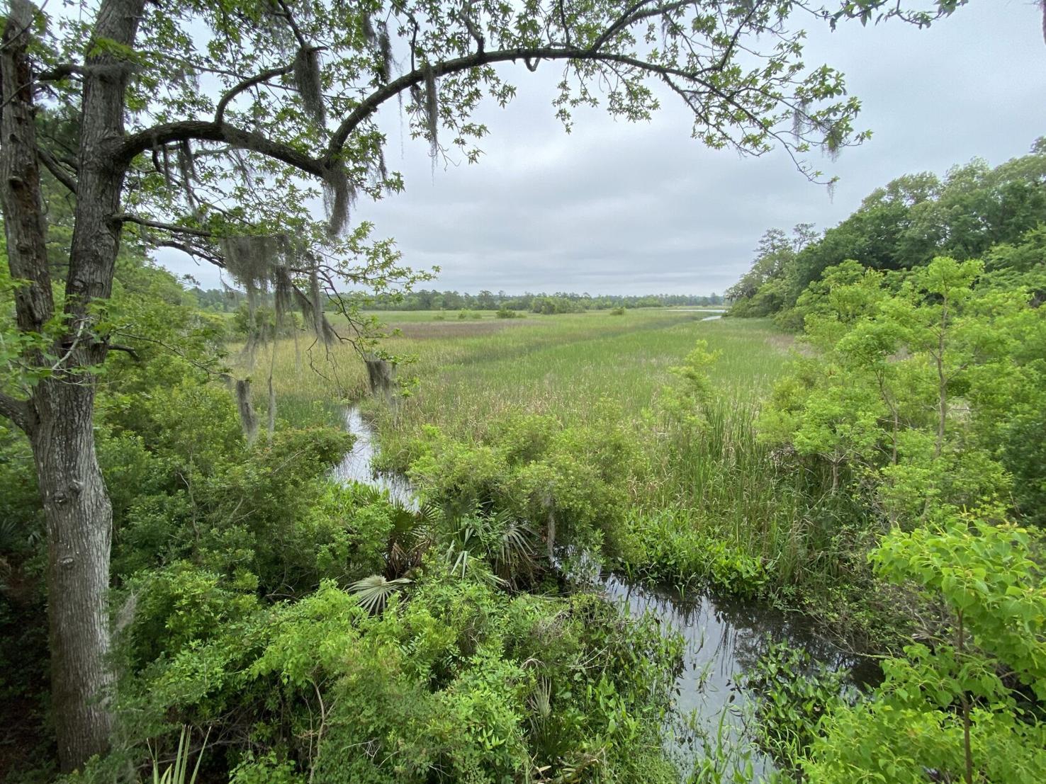 Page A1 | E‑Paper – The Post and Courier | Full Digital SC’s Top Newspaper