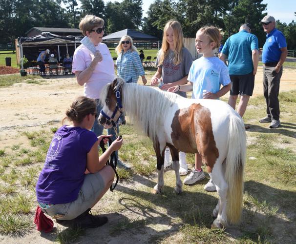 Equine Rescue of Aiken breaks ground for new rescue center at farm