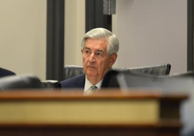 Nikki Setzler won't seek 13th S.C. Senate term | Aiken Area Government ...