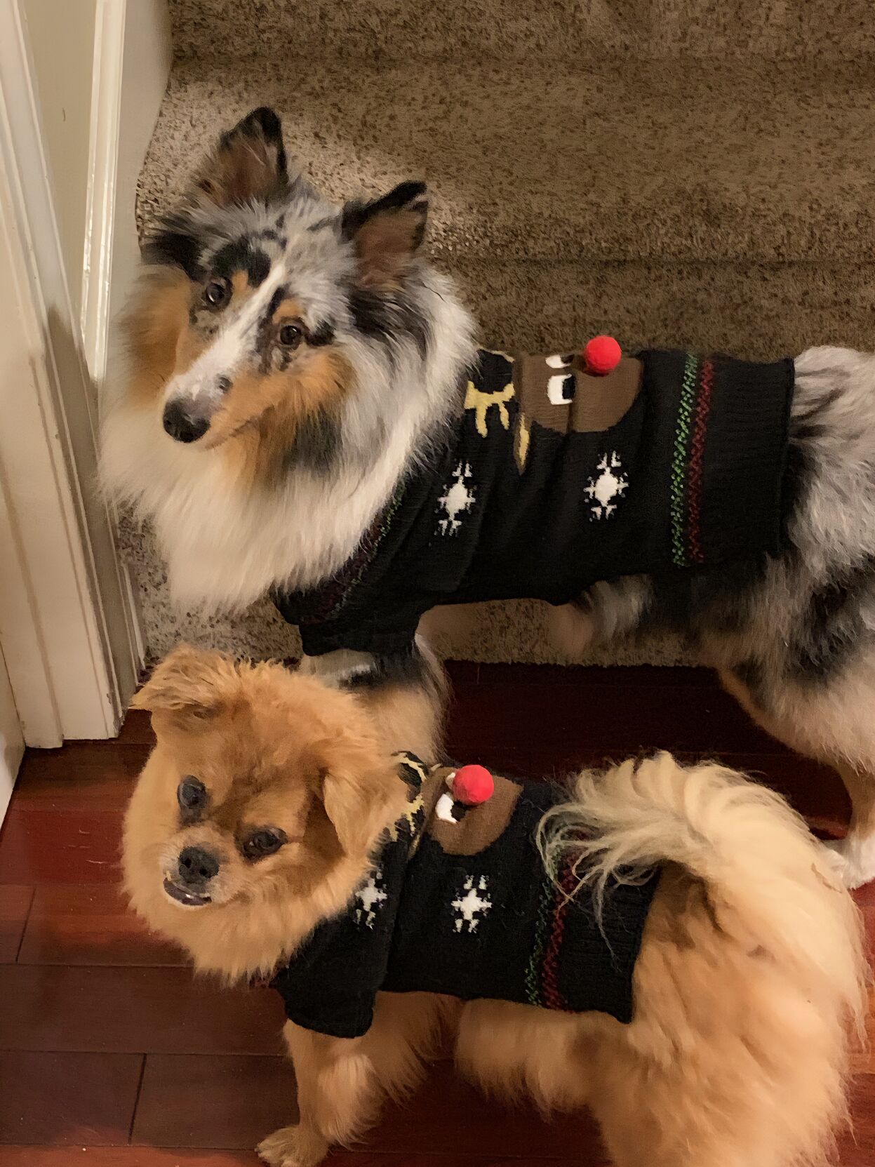 Reader photos: Ugly sweater season