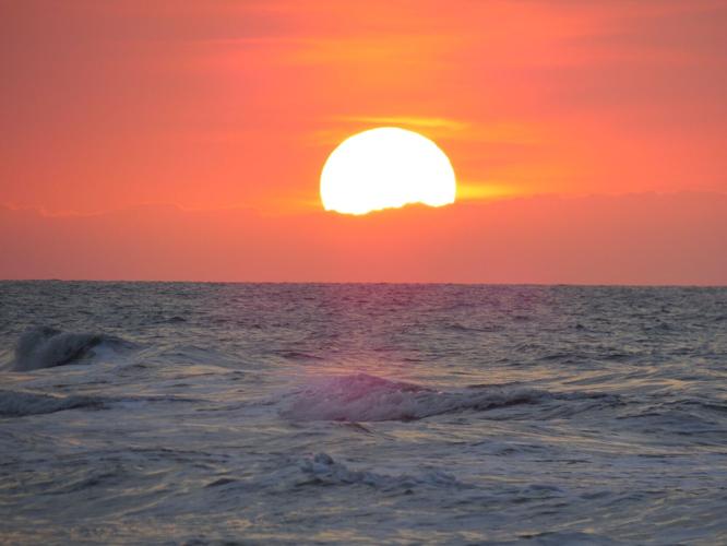 Reader photo pick of the week: Sunshine