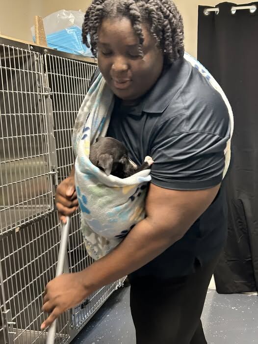 Whimpering puppy melts hearts at County Shelter