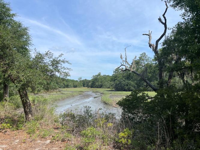 Old Towne Creek County Park complements Charleston's history
