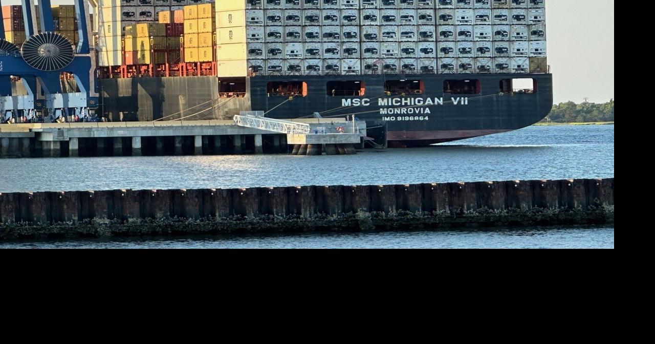 Runaway cargo ship MSC Michigan VII can leave Charleston