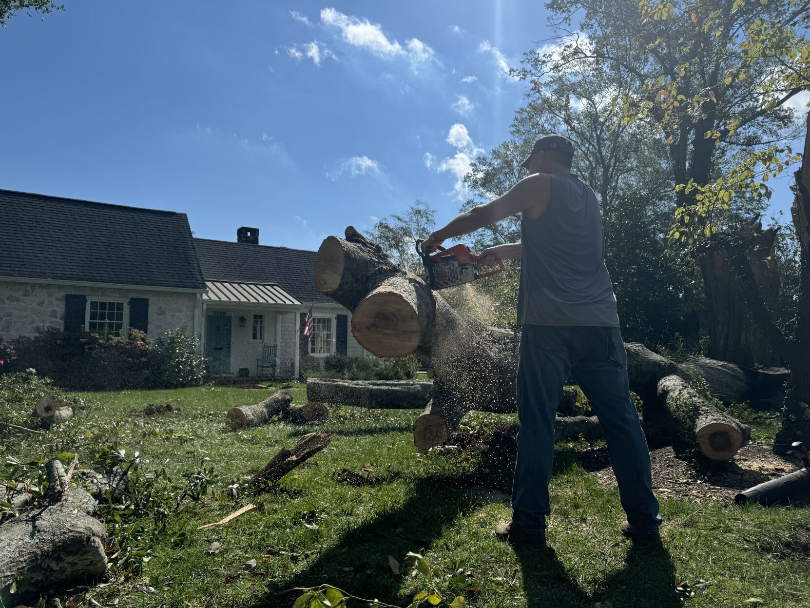 Hurricane Helene turned Greenville's trees into weapons