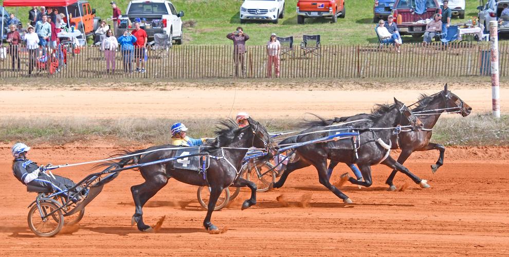 Beautiful day brings tailgaters out in force to McGhees' Mile Harness Races