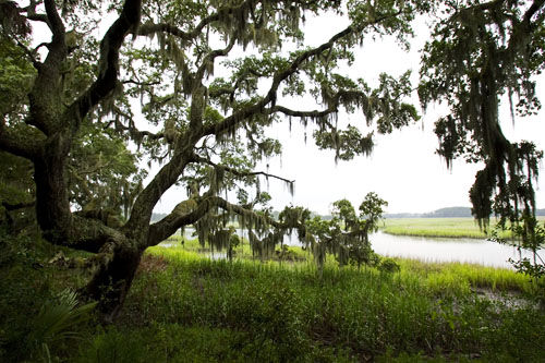 Botany Bay Plantation