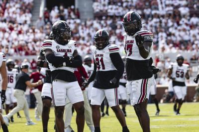 Gamecocks' defense doesn't need a nickname