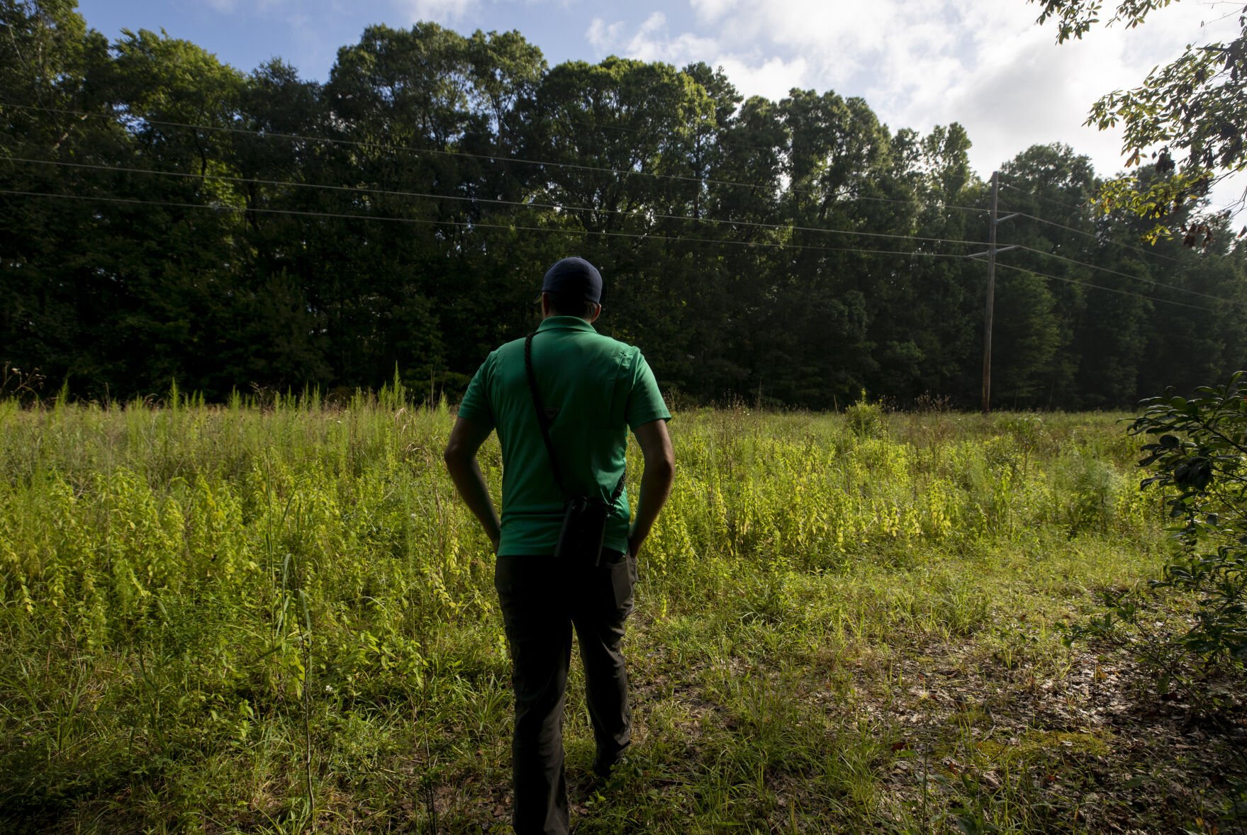 Planned power line through ancient SC forest raises alarms