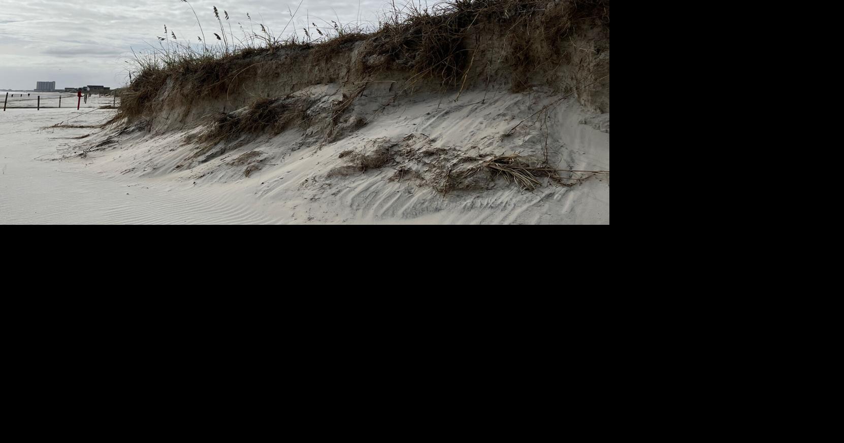 Myrtle Beach replacing dune fences damaged by Ian ahead of ...