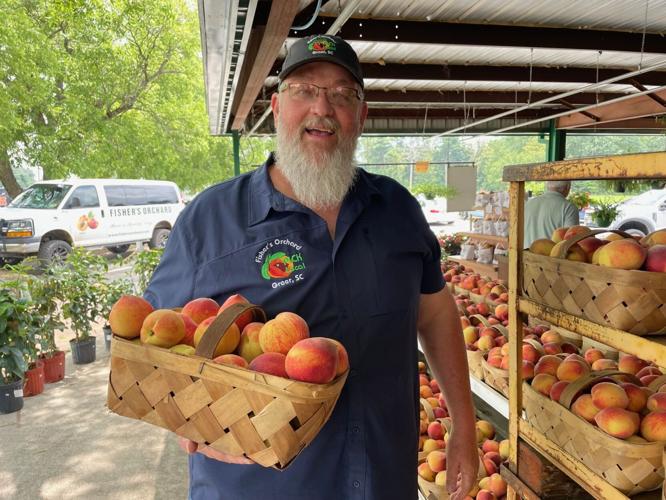 Upstate peach farmers' outlook for 2025 season is bright