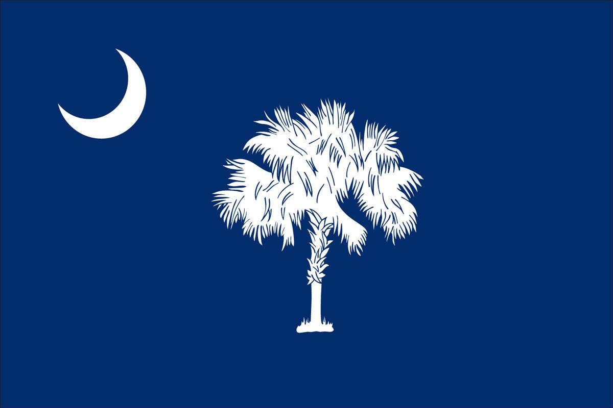 A 1 year old Child Has Died After A House Fire In South Carolina News a-1-year-old-child-has-died-after-a-house-fire-in-south-carolina-news