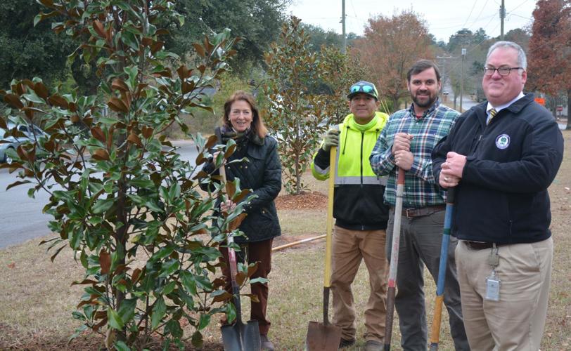 Aiken city leaders plant magnolia tree to observe Arbor Day